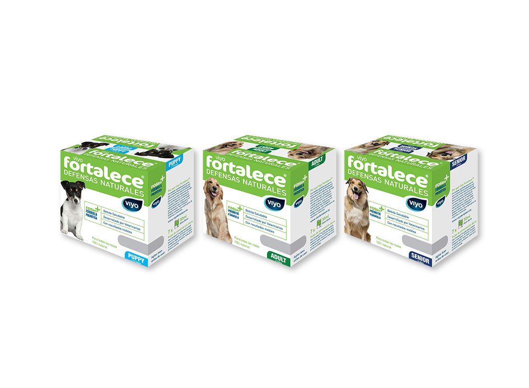 Dog | Viyo Reinforces