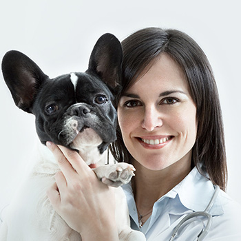 Dog | Viyo Reinforces